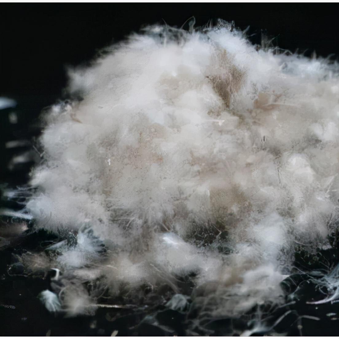 There’s something to be said for gray duck down (I’m really no worse ...