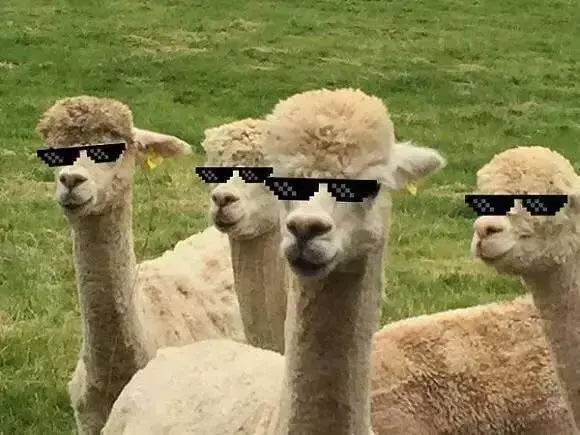 Do you know about Albaka fabric (how does it have anything to do with ...